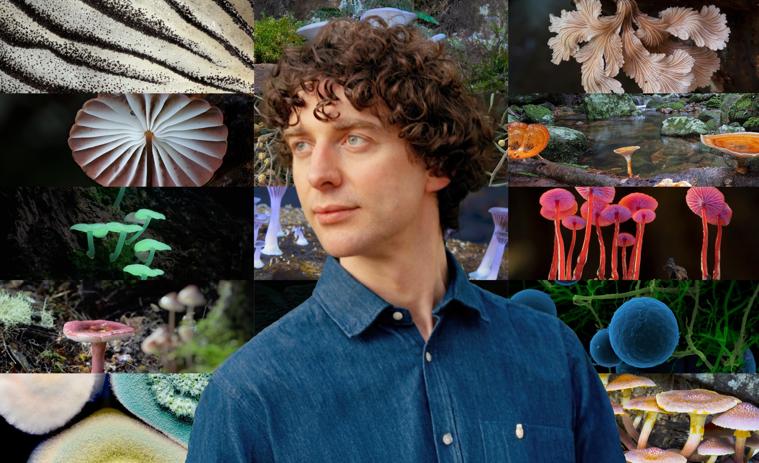 FANE | Join the most exciting names in entertainment