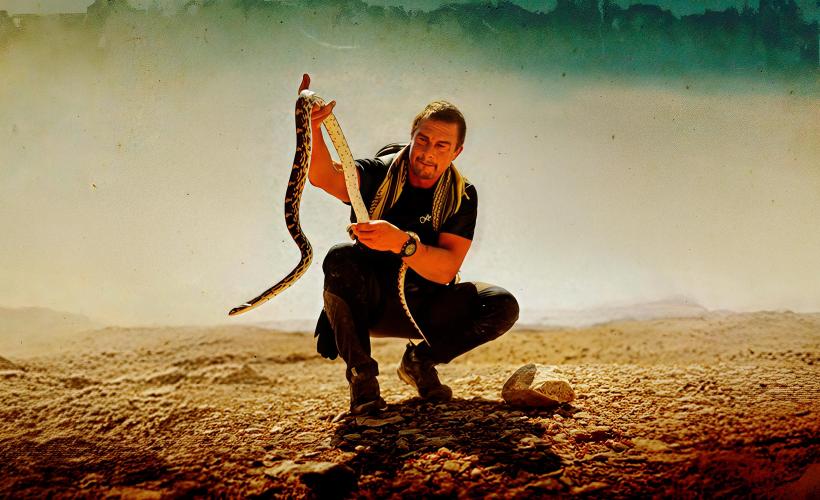 Bear Grylls Tickets & Tour Dates - Fane